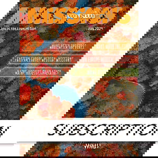 Missions Mosaic (Print)